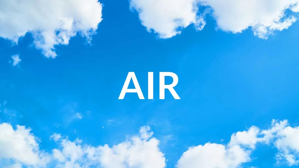 Being Vegan — Vegan Festival Adelaide