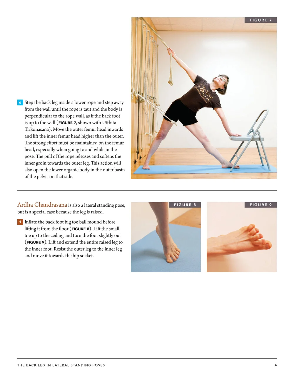 The Back Leg in Lateral Standing Poses — Lois Steinberg