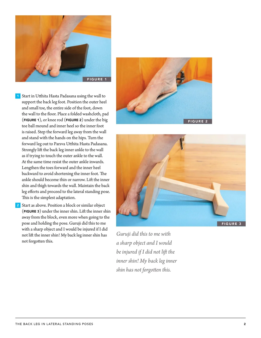 The Back Leg in Lateral Standing Poses — Lois Steinberg