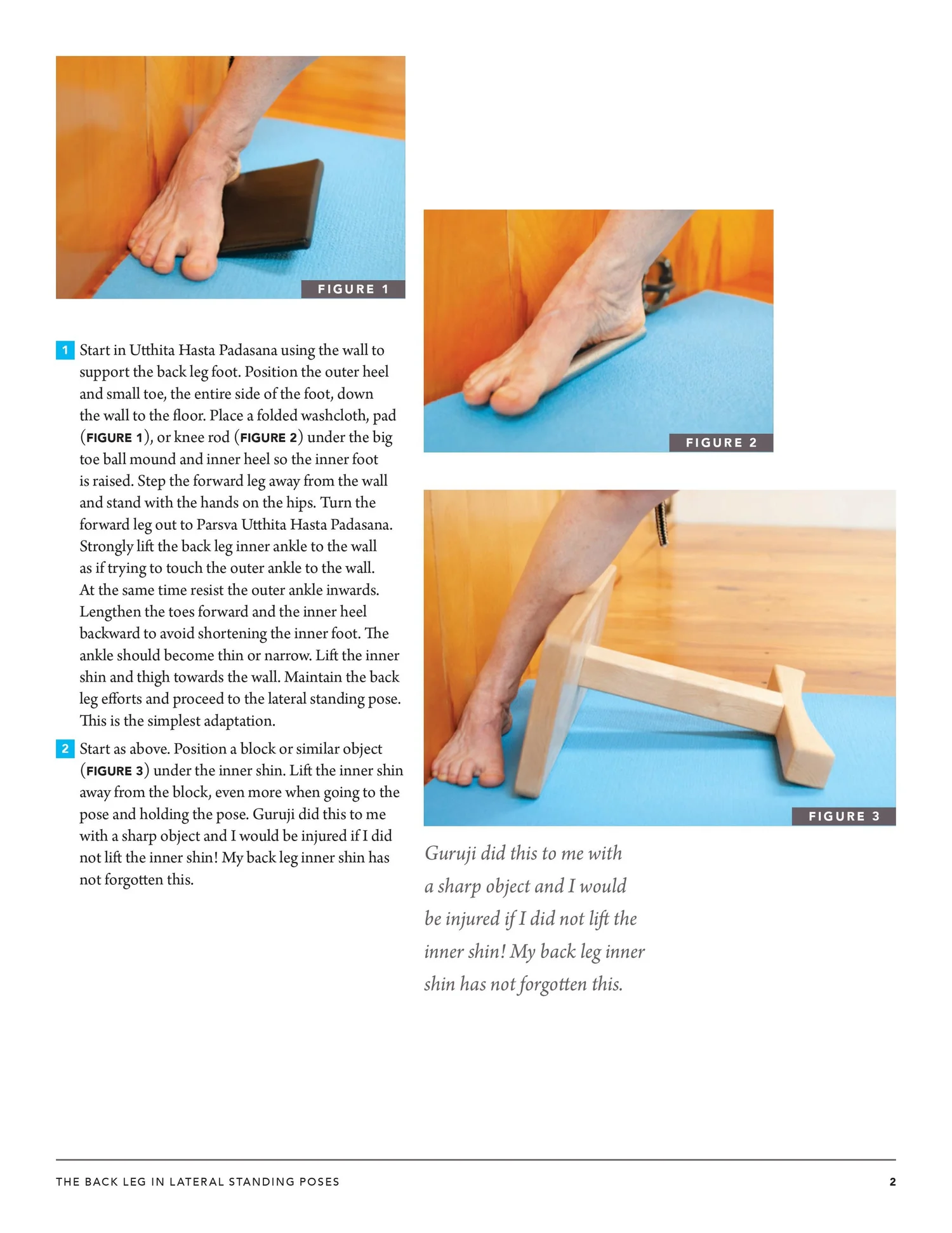 The Back Leg in Lateral Standing Poses — Lois Steinberg
