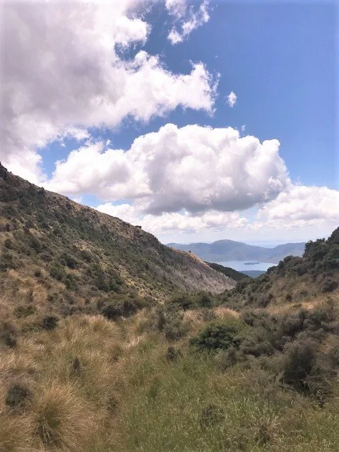 Irene A. Shields—LOCATION CHANGE — Workman Funeral Homes, Inc.