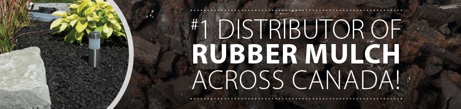 About — Rymar Rubber