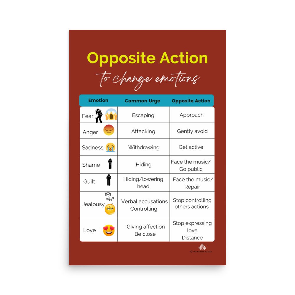 DBT In Schools Store — DBT in Schools