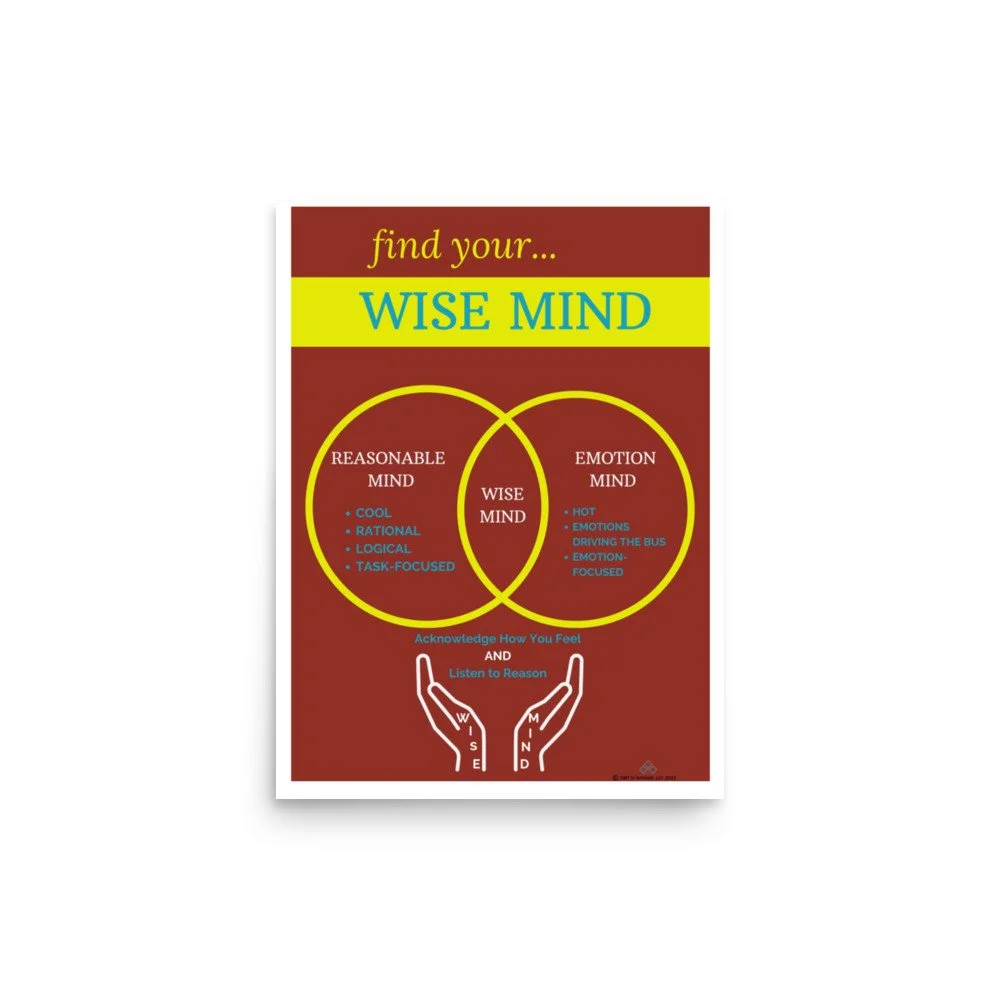 DBT In Schools Store — DBT in Schools