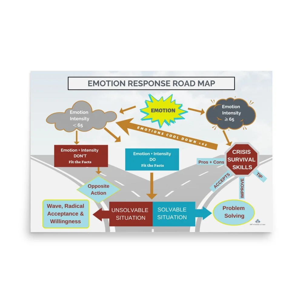 DBT In Schools Store — DBT in Schools