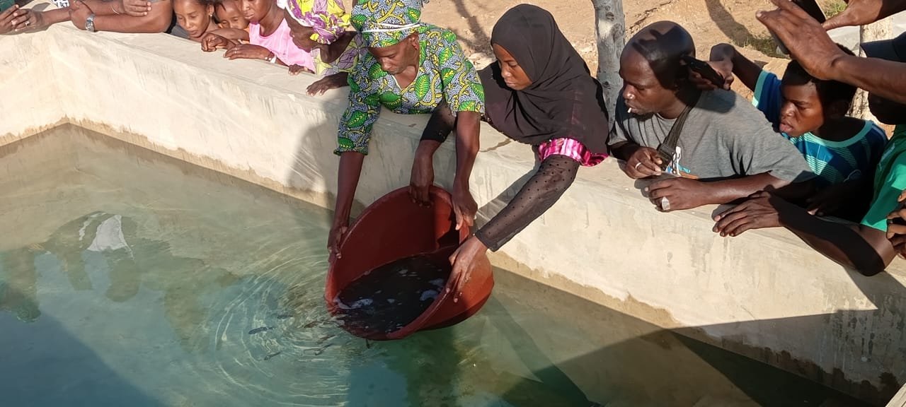 Fish to Table: On the Edge of the Sahara — Andando