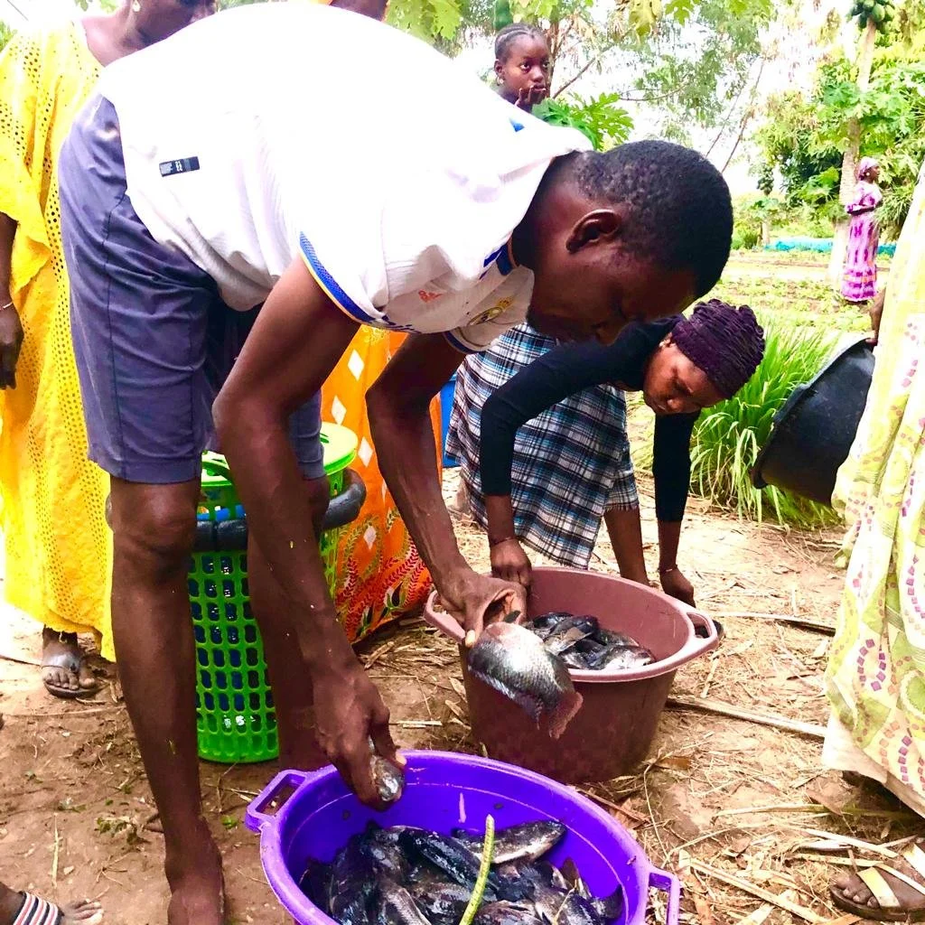 Meet Yaya, Garden Technician & Fish Program Manager — Andando