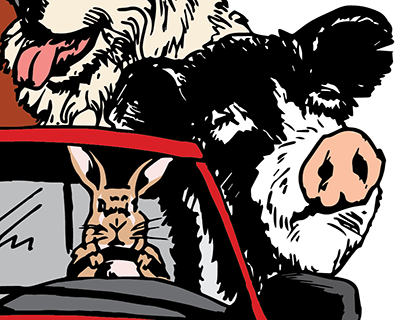 Kate Ahern | Illustration & Design