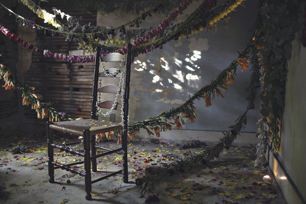 flower house — lisa waud