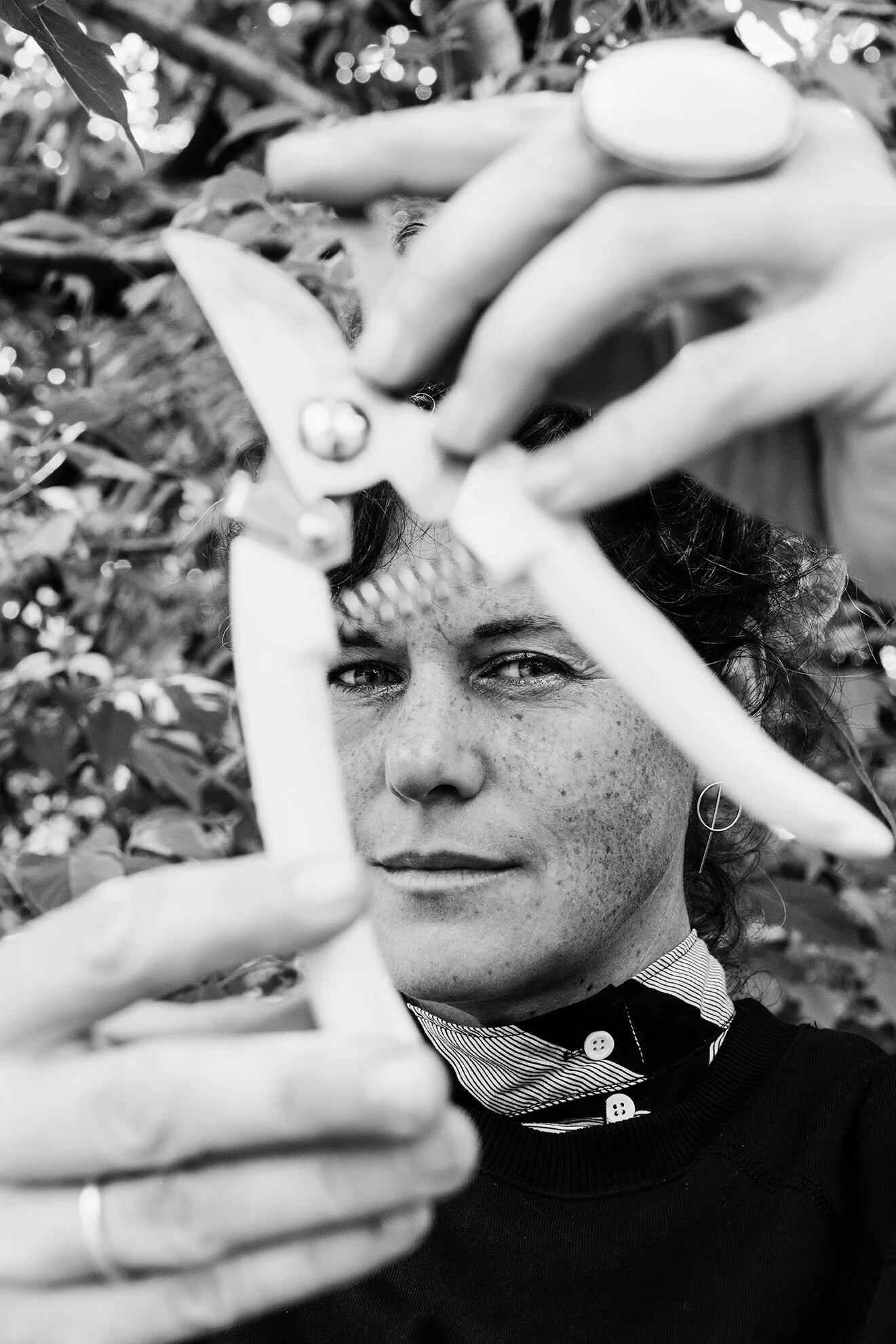 lisa waud botanical installation artist — lisa waud