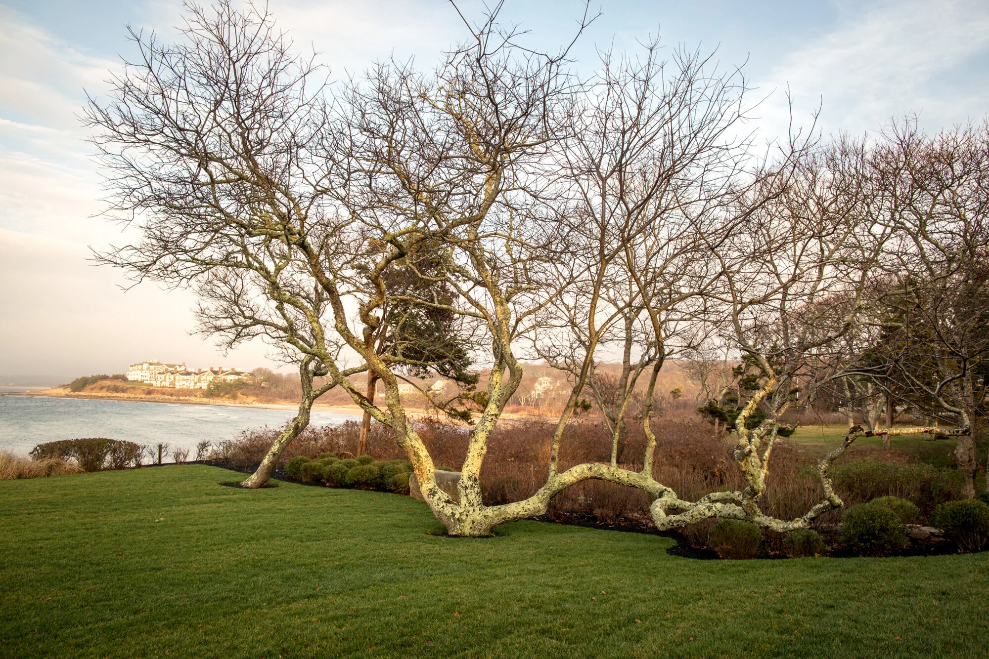 Portfolio of past projects in Marion and on Cape Cod — DHARSHINI JOSEPH ...