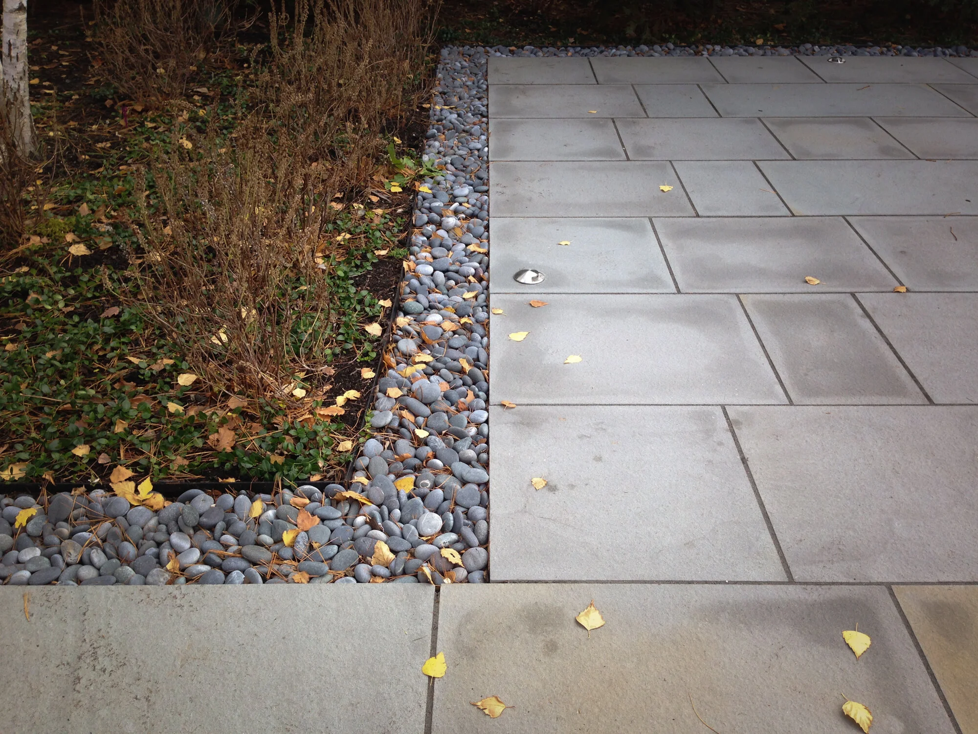 Portfolio of past projects in Marion and on Cape Cod — DHARSHINI JOSEPH ...