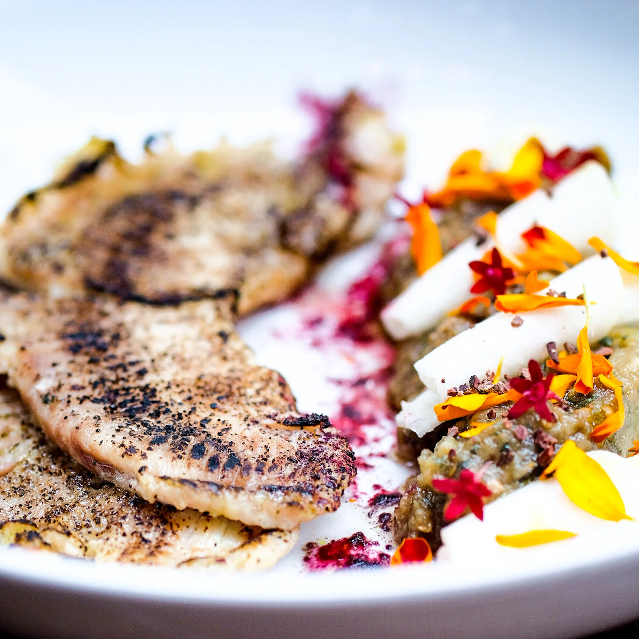 Fancy Italian Food Dishes