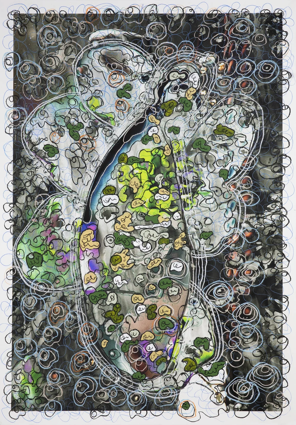 Biomes drawings — COSTAS PICADAS