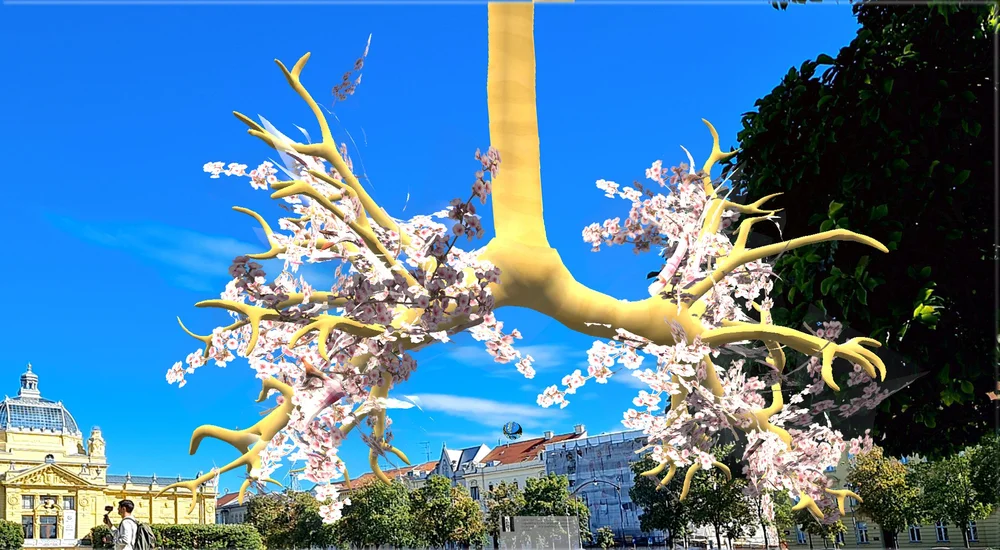 Biomes installations 2 — COSTAS PICADAS