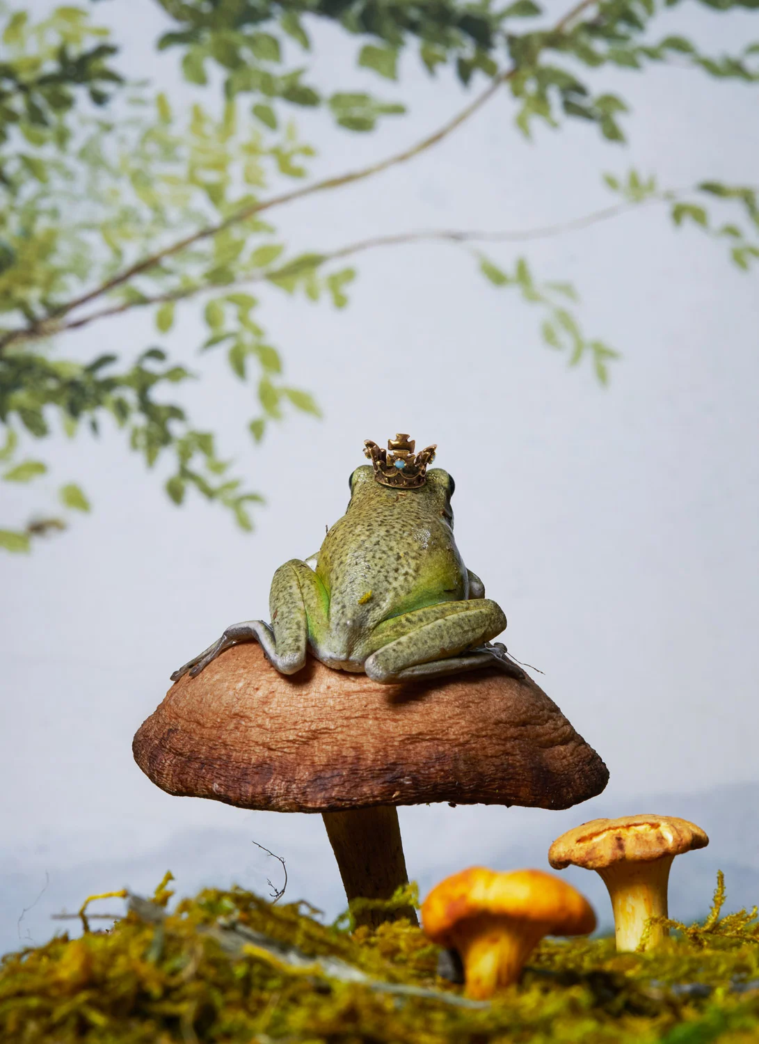 Still Life — Kyoko Hamada