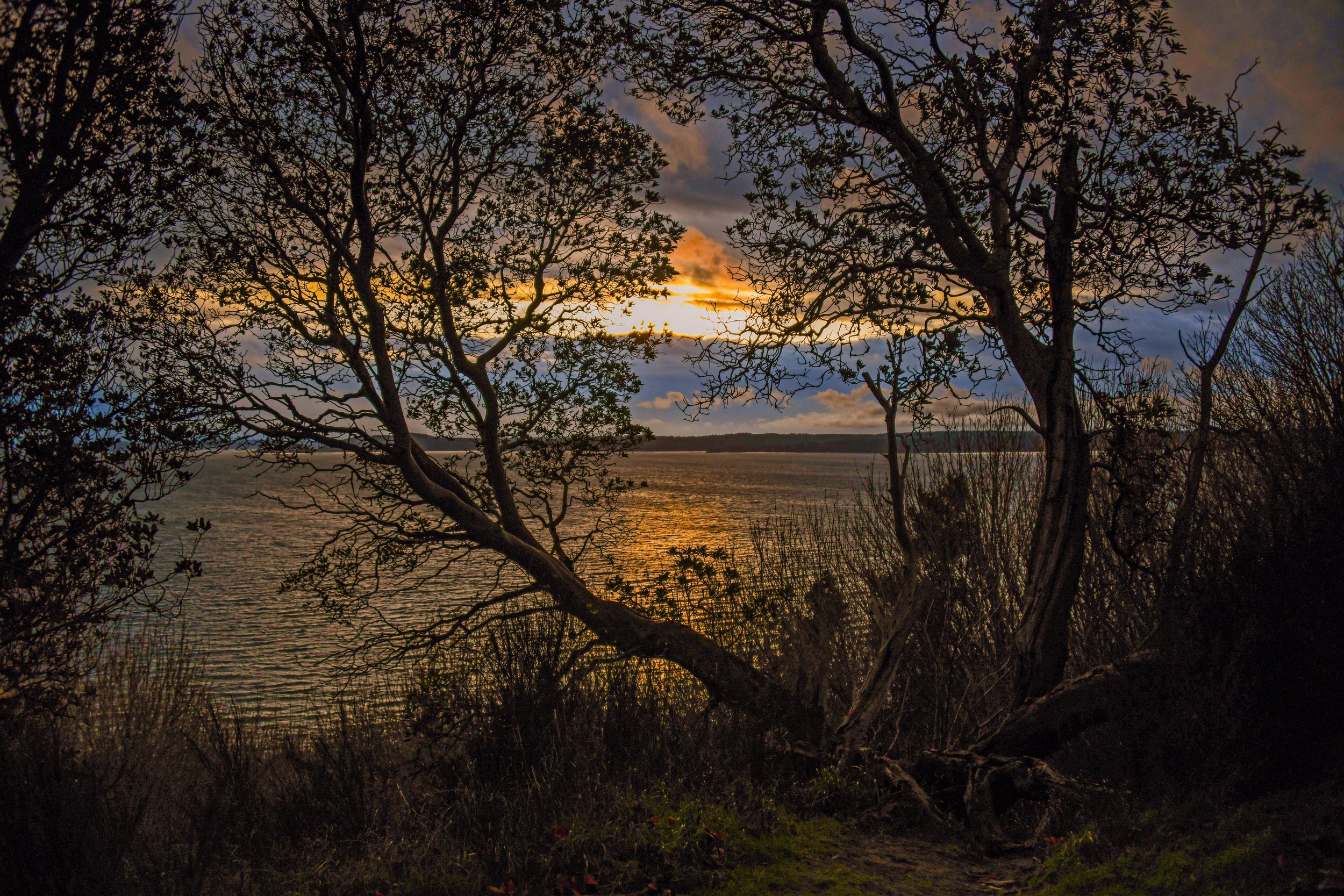 Discovery Park — Greg Shaw