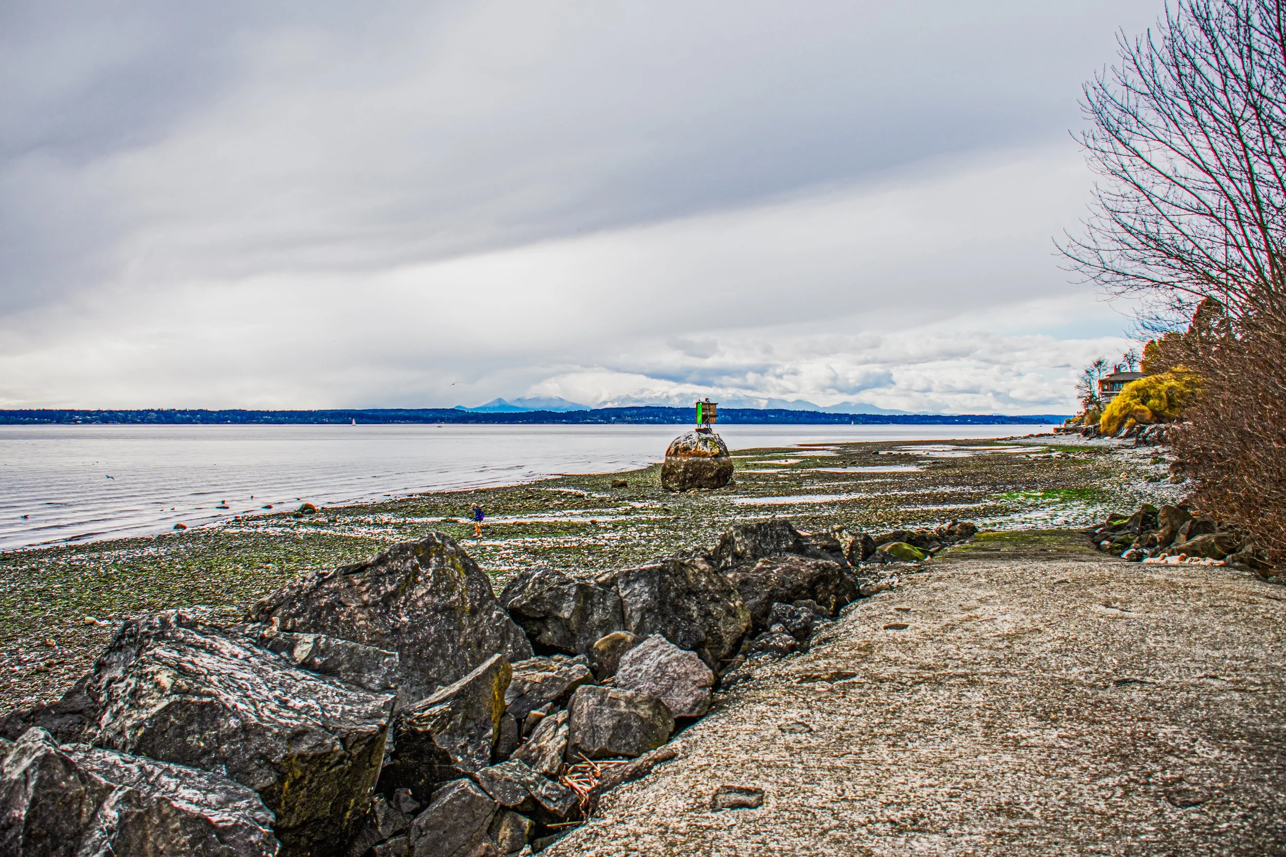 Four Mile Rock — Greg Shaw