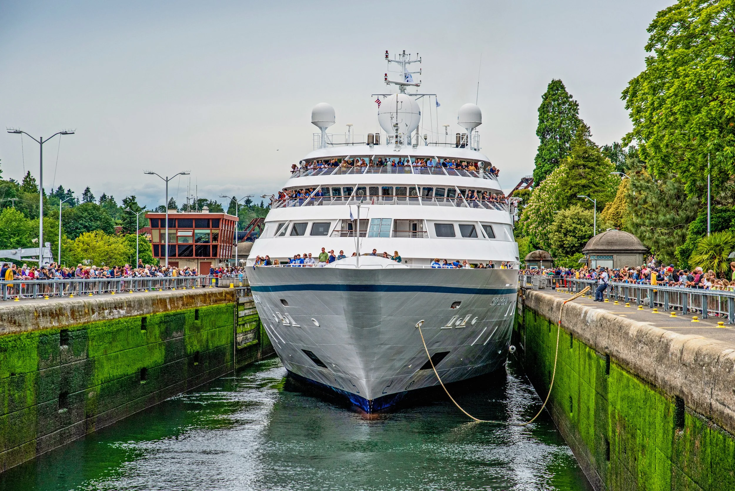 The Locks — Greg Shaw