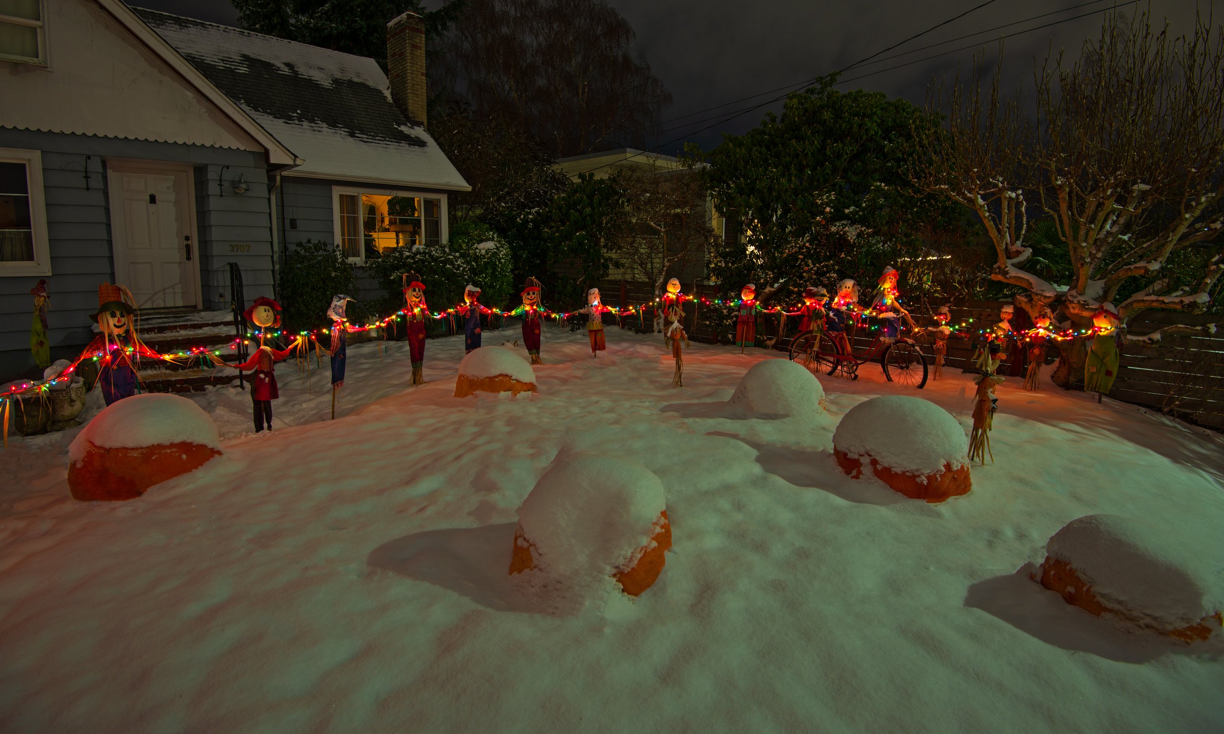Magnolia Pumpkin Patch — Greg Shaw
