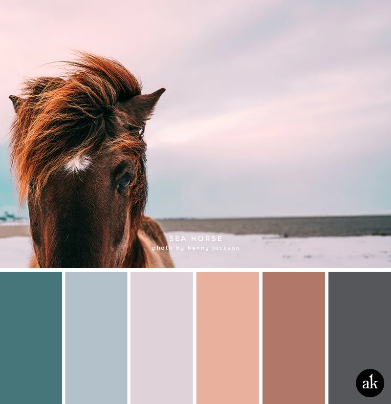 a SEA-horse-inspired color palette — Creative brands for creative ...