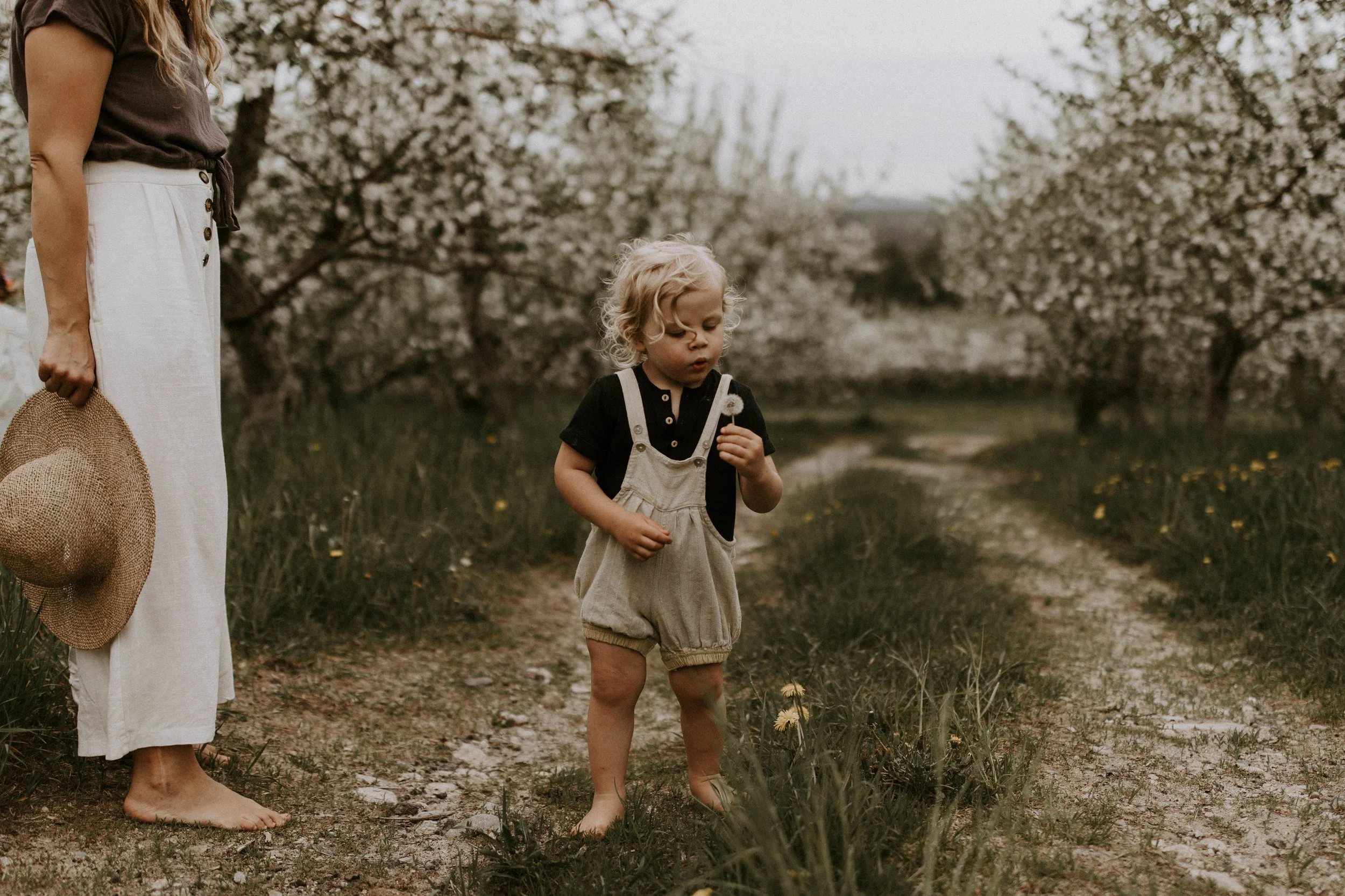Full Bloom with the Delamater Family - Bridgton Maine — Mariah Clemons ...