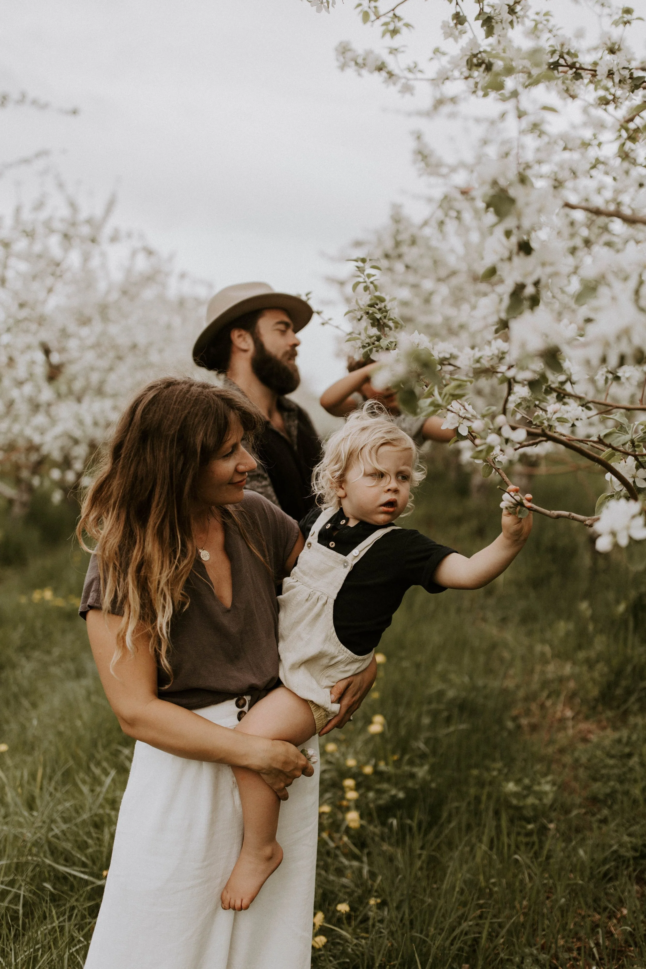 Full Bloom with the Delamater Family - Bridgton Maine — Mariah Clemons ...