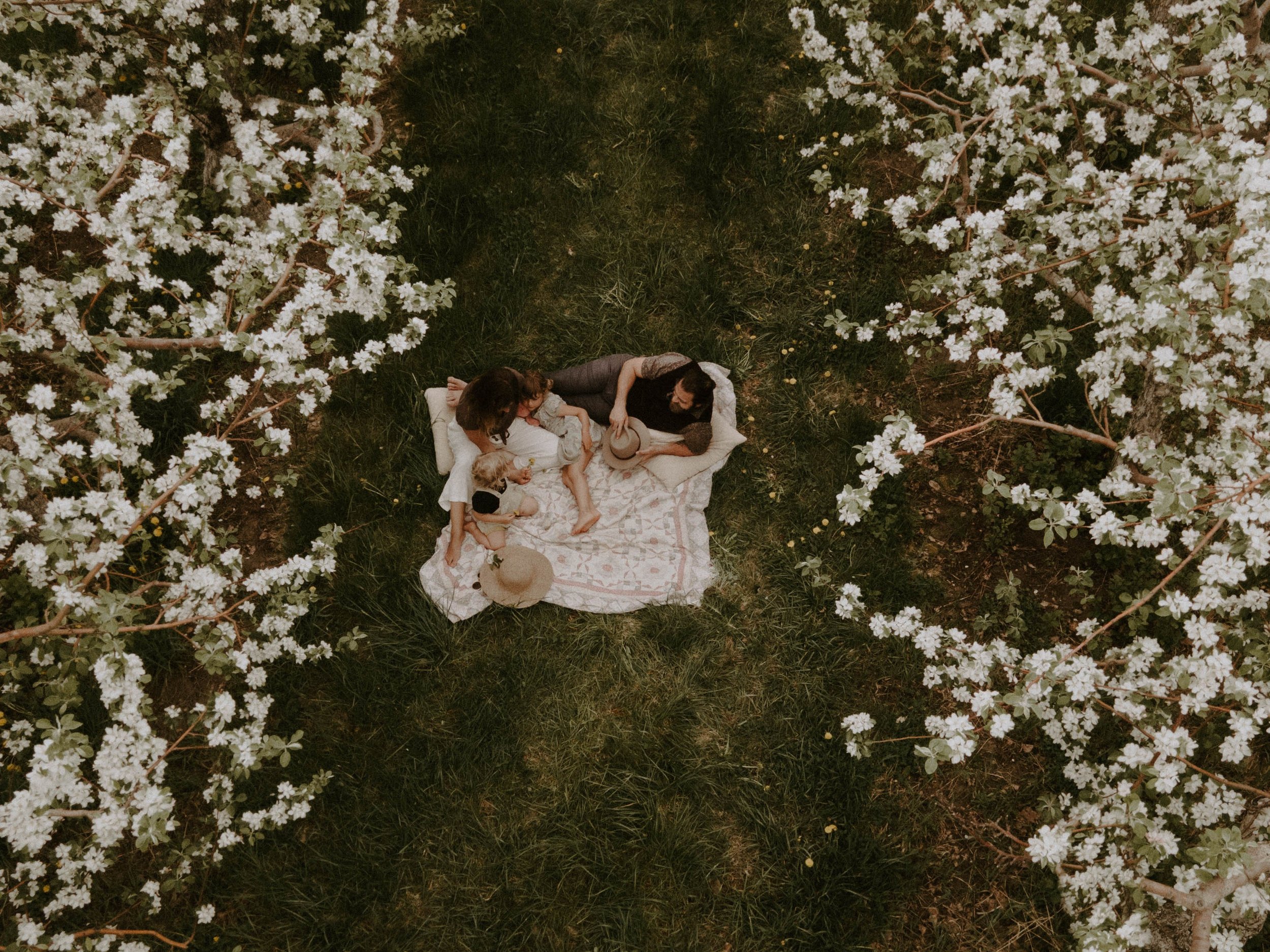 Full Bloom with the Delamater Family - Bridgton Maine — Mariah Clemons ...