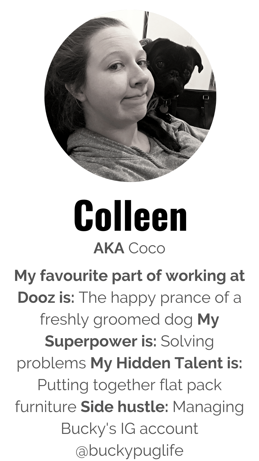 Doggy Dooz Dog Grooming