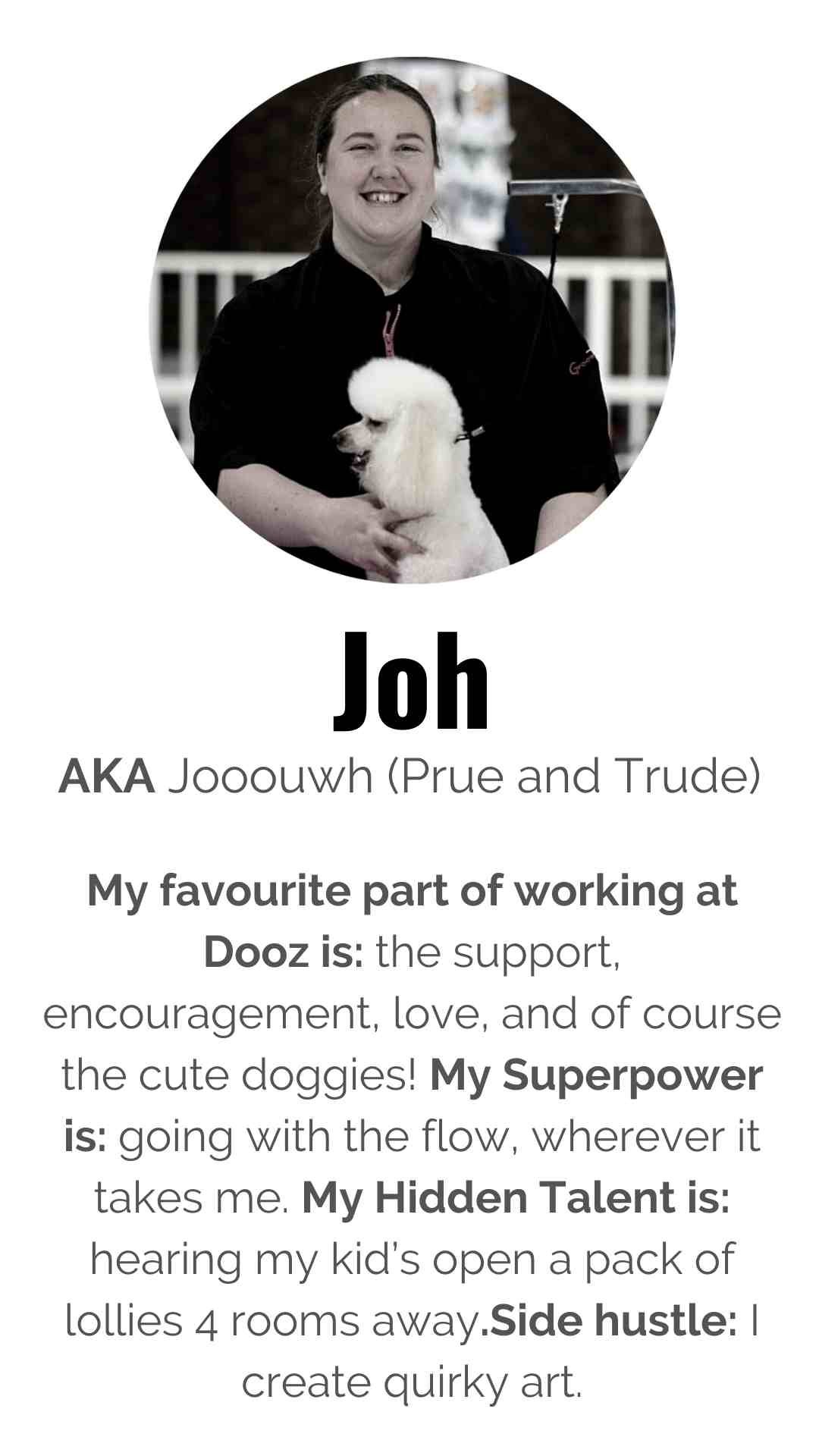 Doggy Dooz Dog Grooming