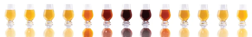 Root Shoot Malting-Malt and Grain