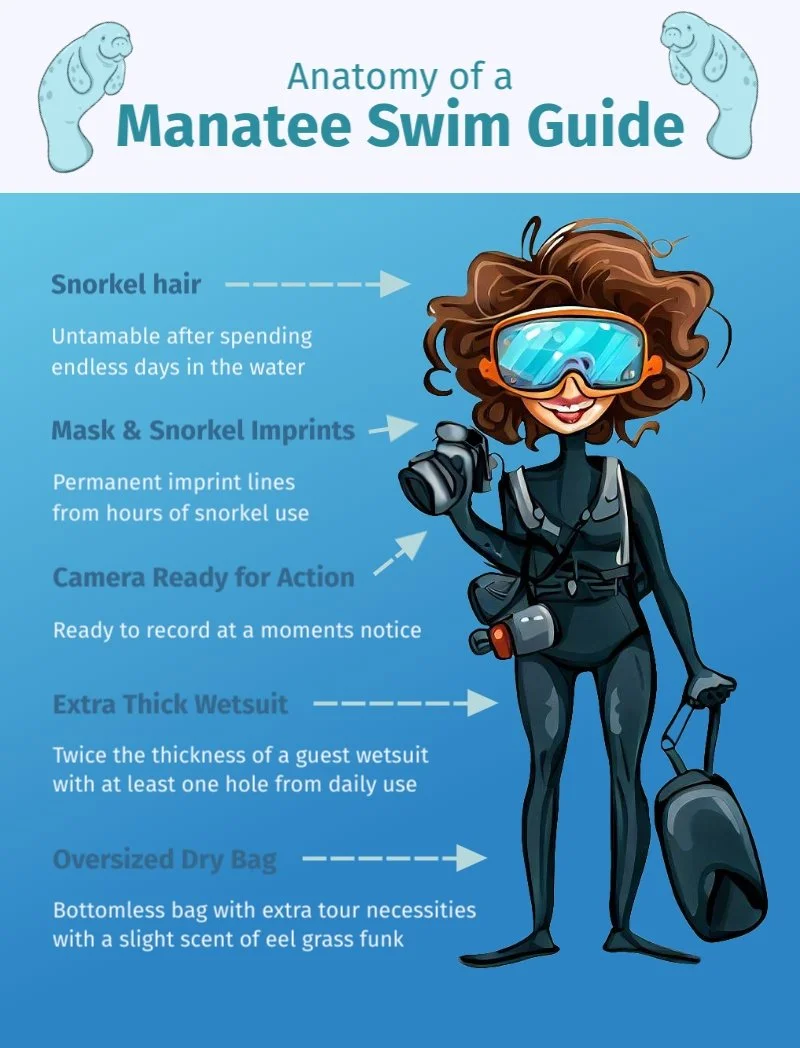 Swimming with Manatees: The Ultimate Checklist for Your Adventure — River Ventures