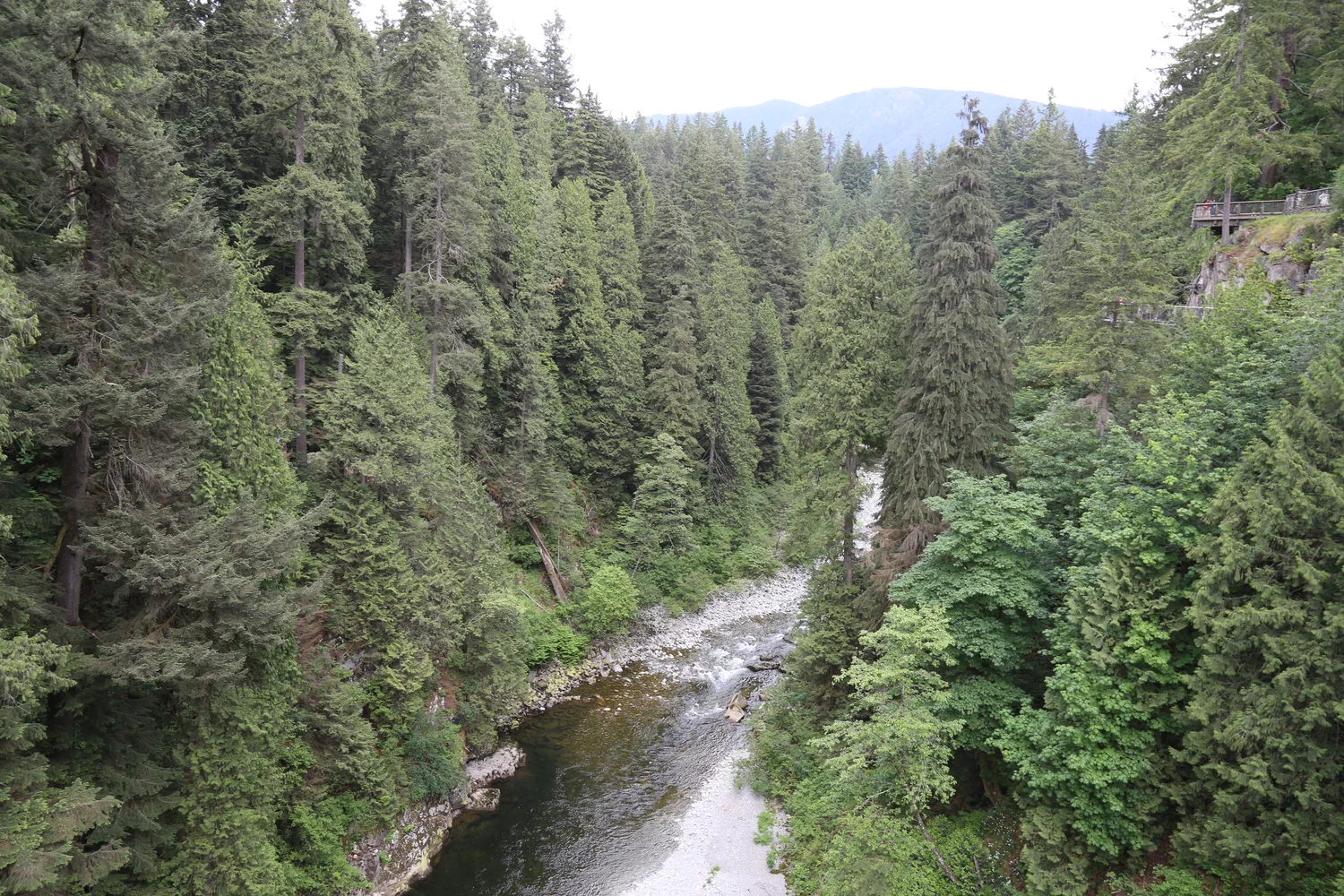 Capilano Suspension Bridge Park — Rain or Shine Guides