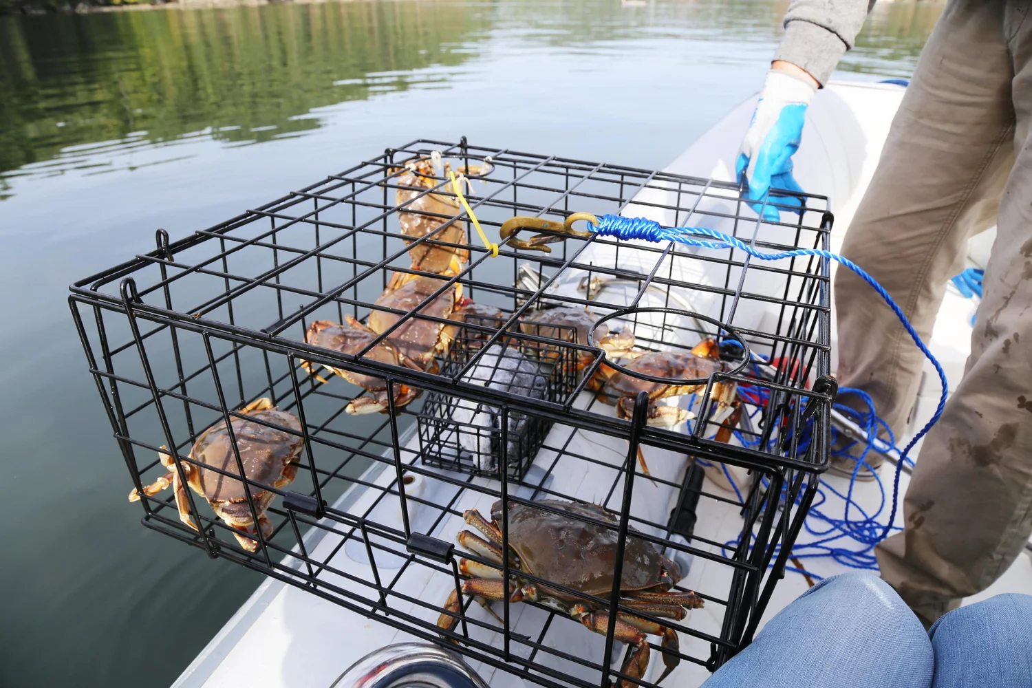 Crabbing 101 — Rain or Shine Guides