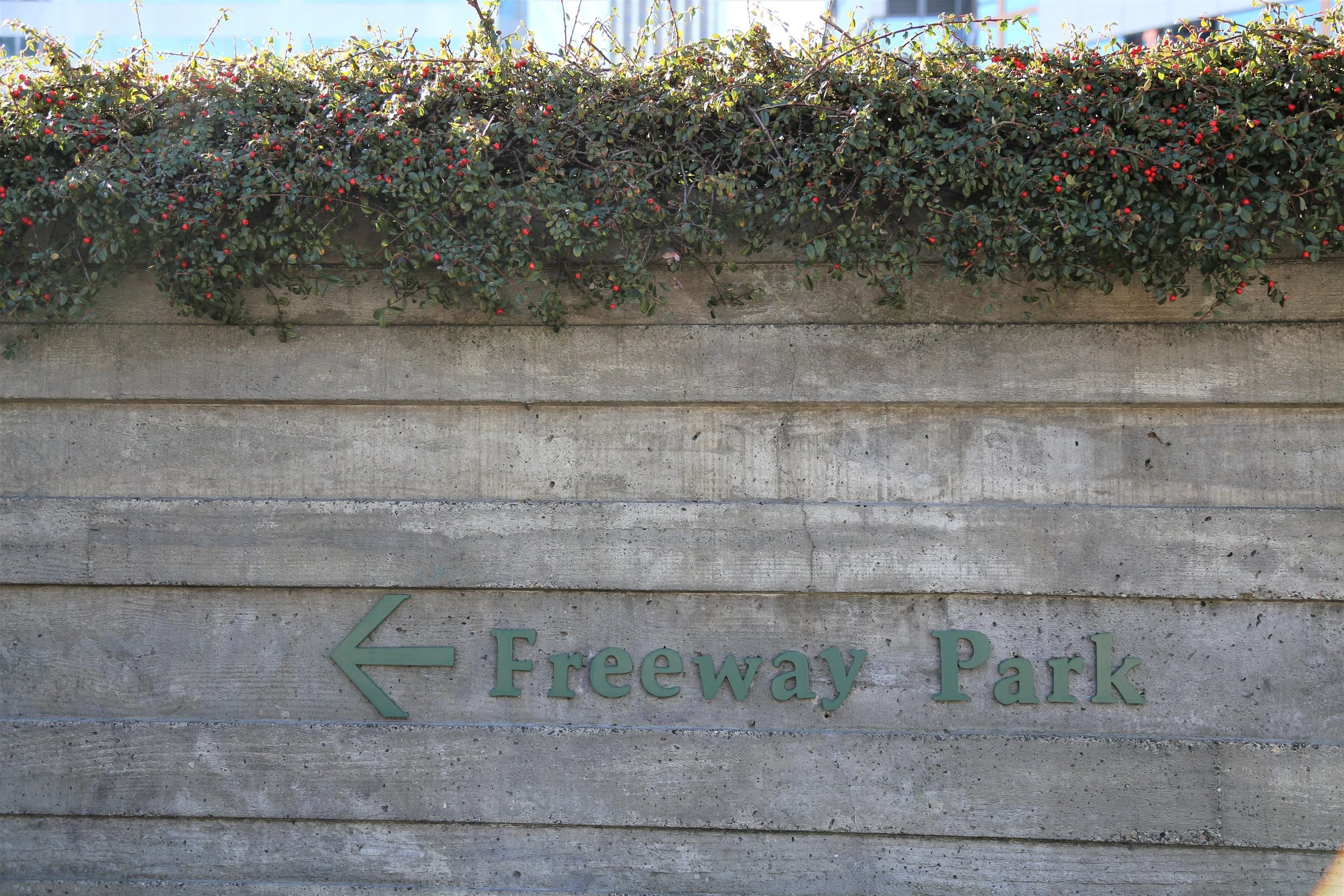 Freeway Park — Rain or Shine Guides