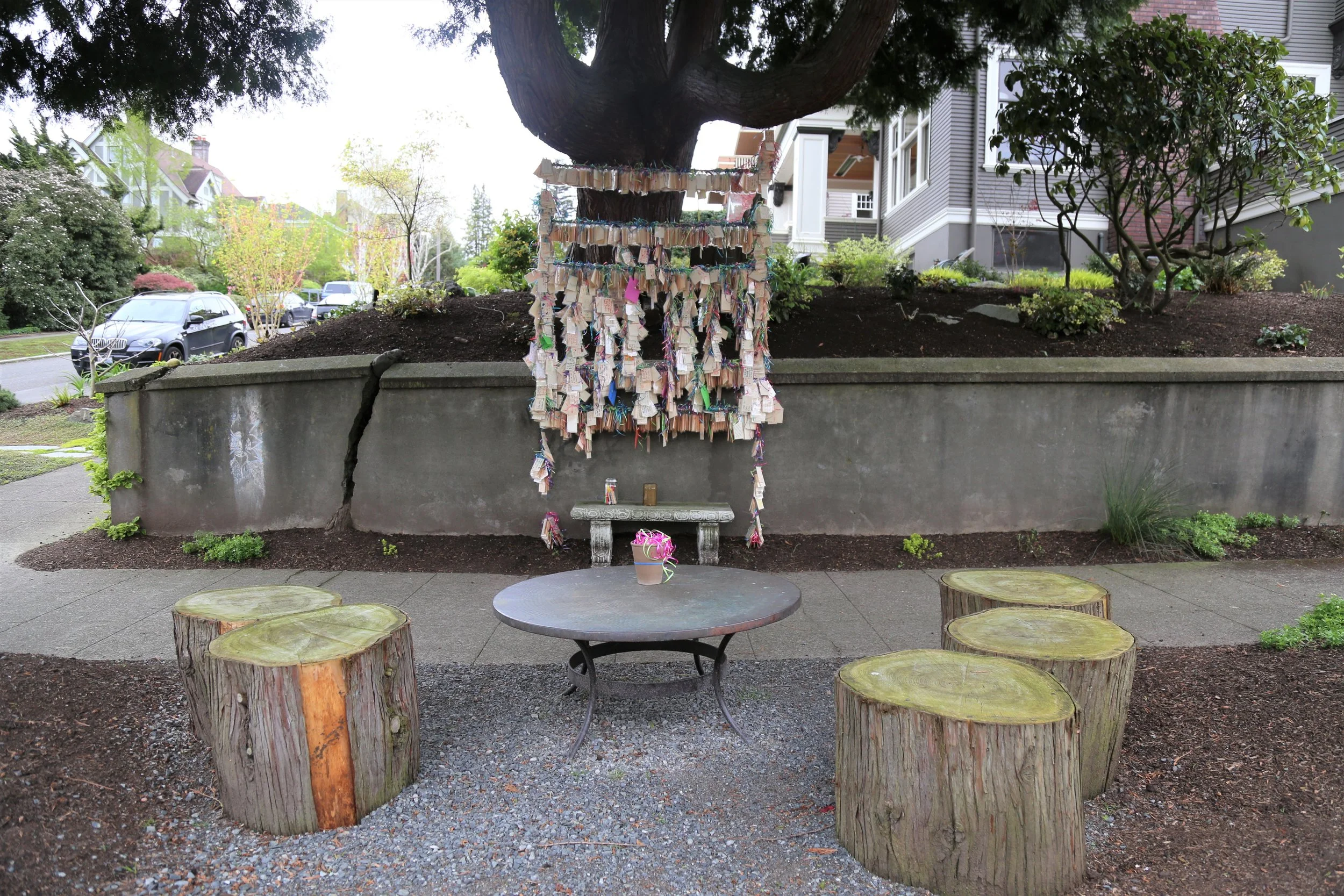 Seattle's Wishing Tree — Rain or Shine Guides