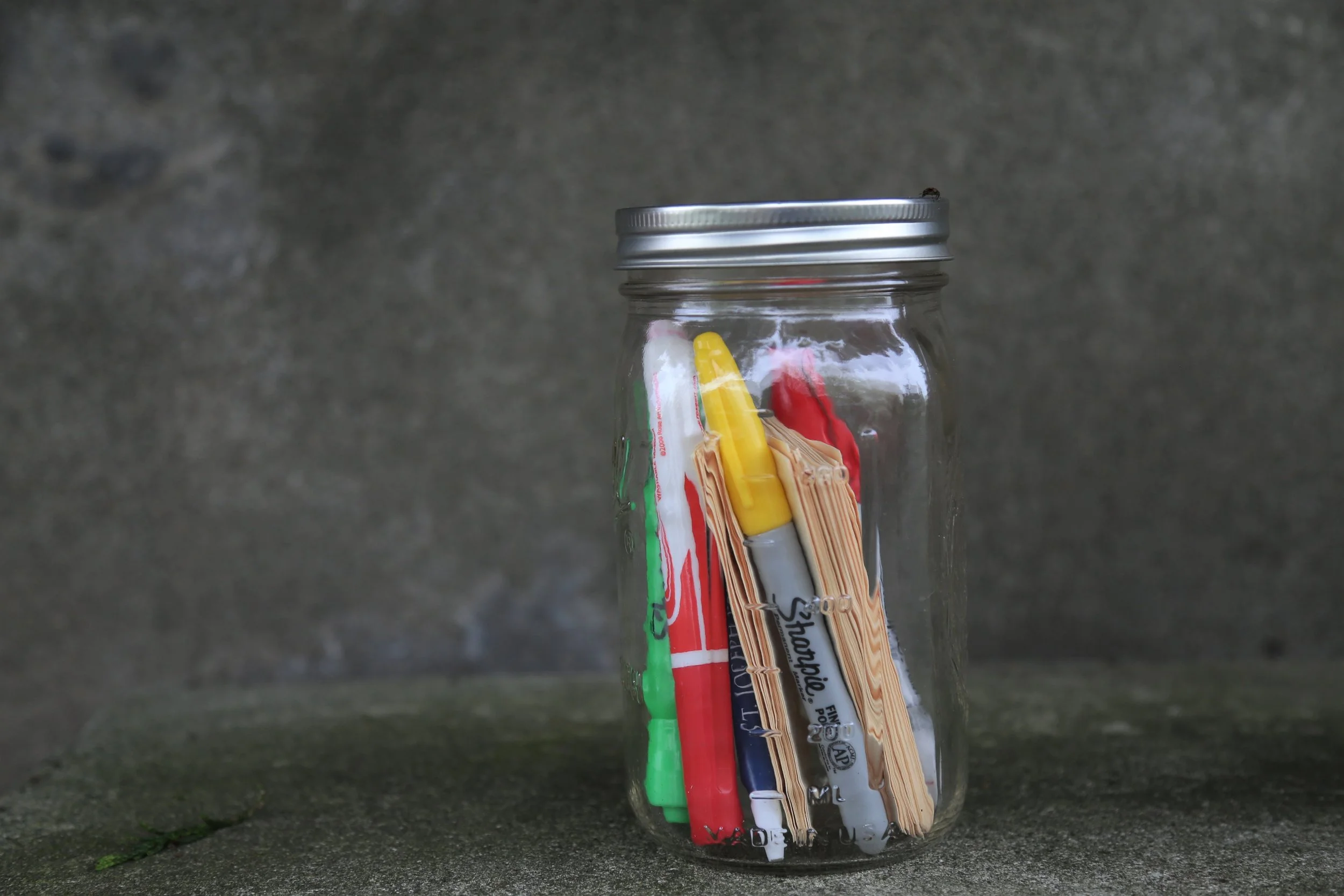 Seattle's Wishing Tree — Rain or Shine Guides