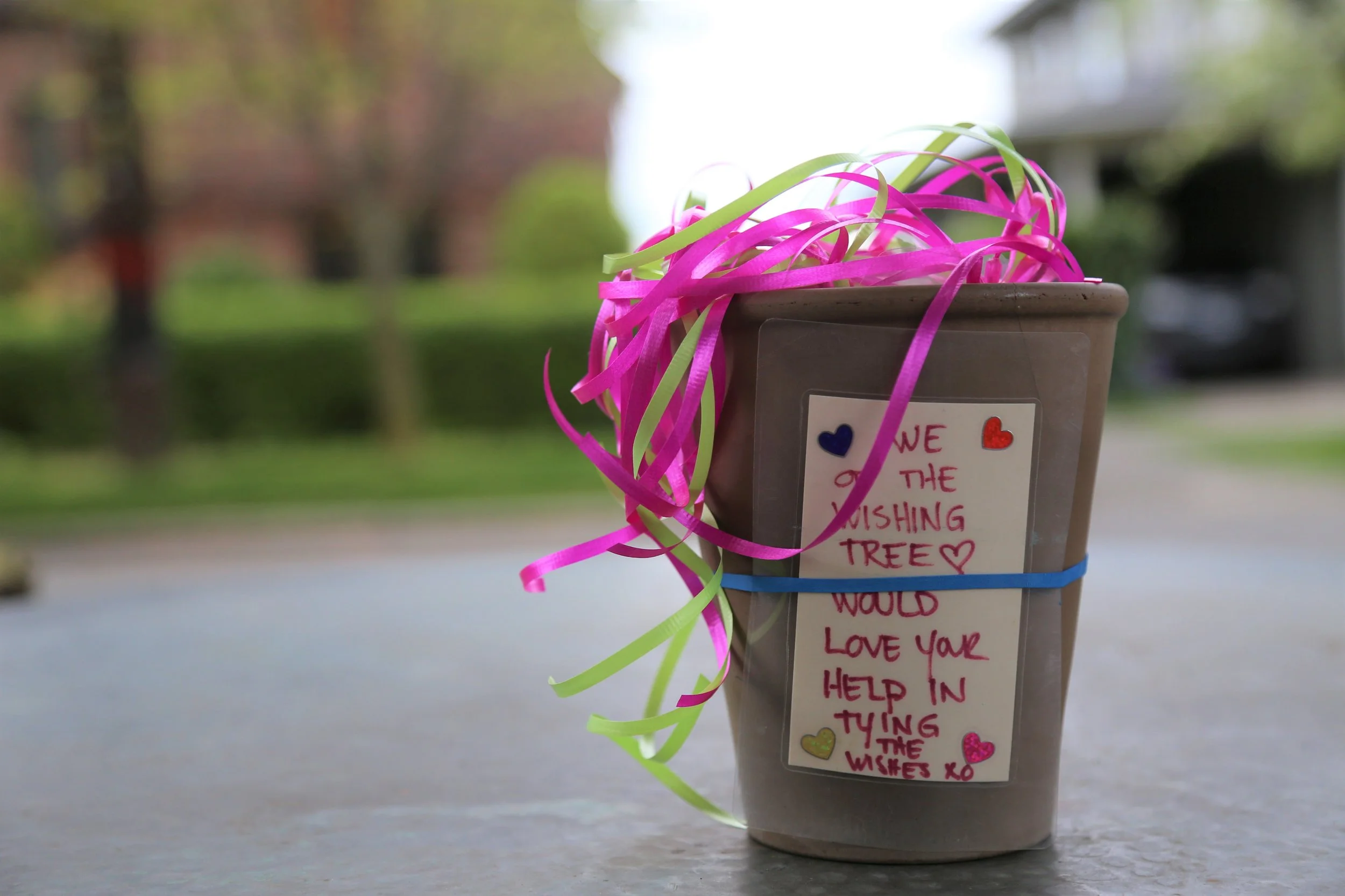 Seattle's Wishing Tree — Rain or Shine Guides