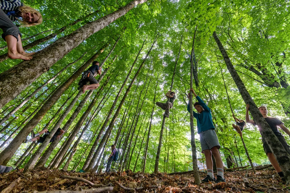 Camp W Vermont Summer Camp