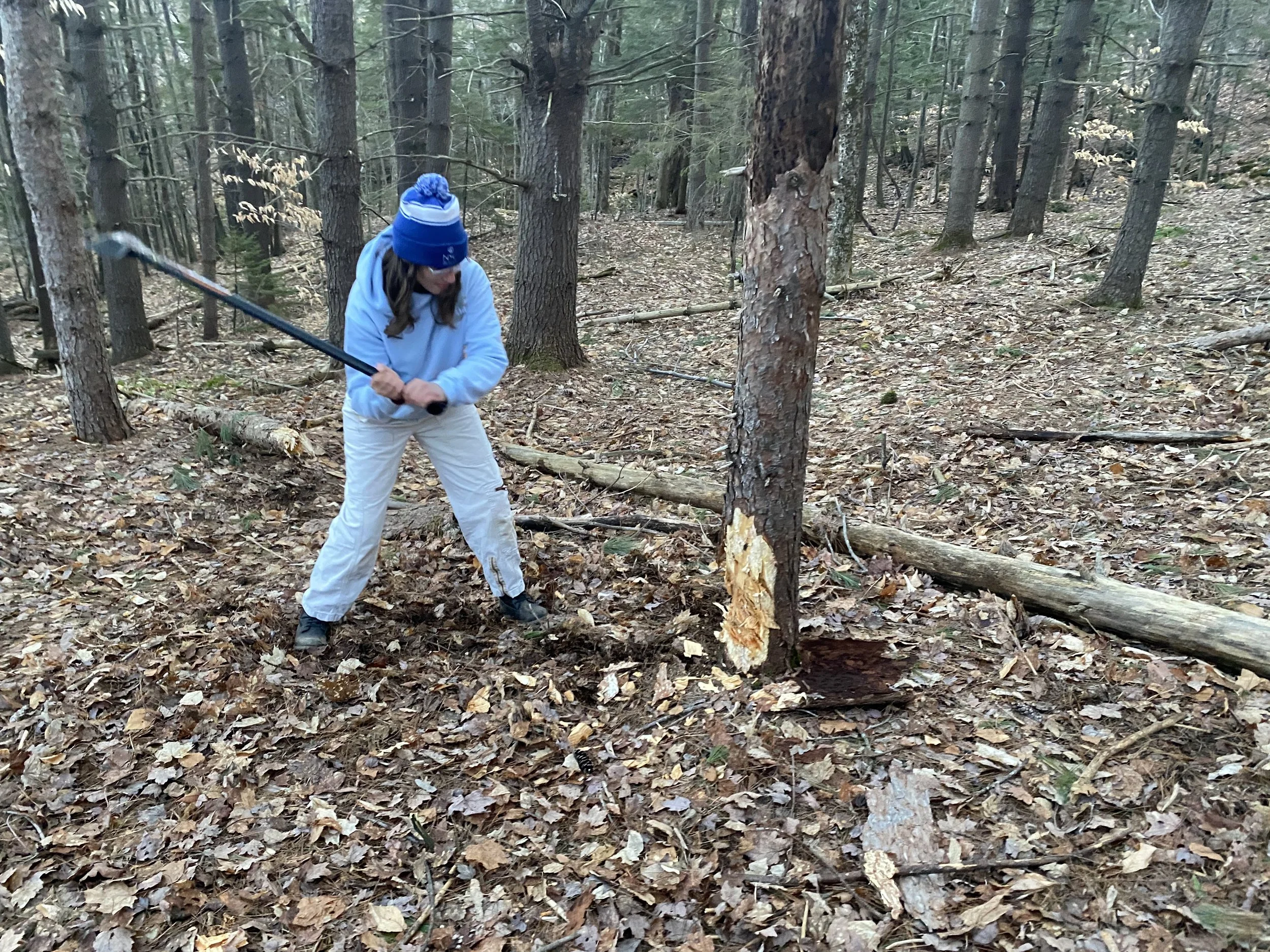 Leadership Program at Camp W | Shaping Tomorrow’s Leaders — Camp W ...