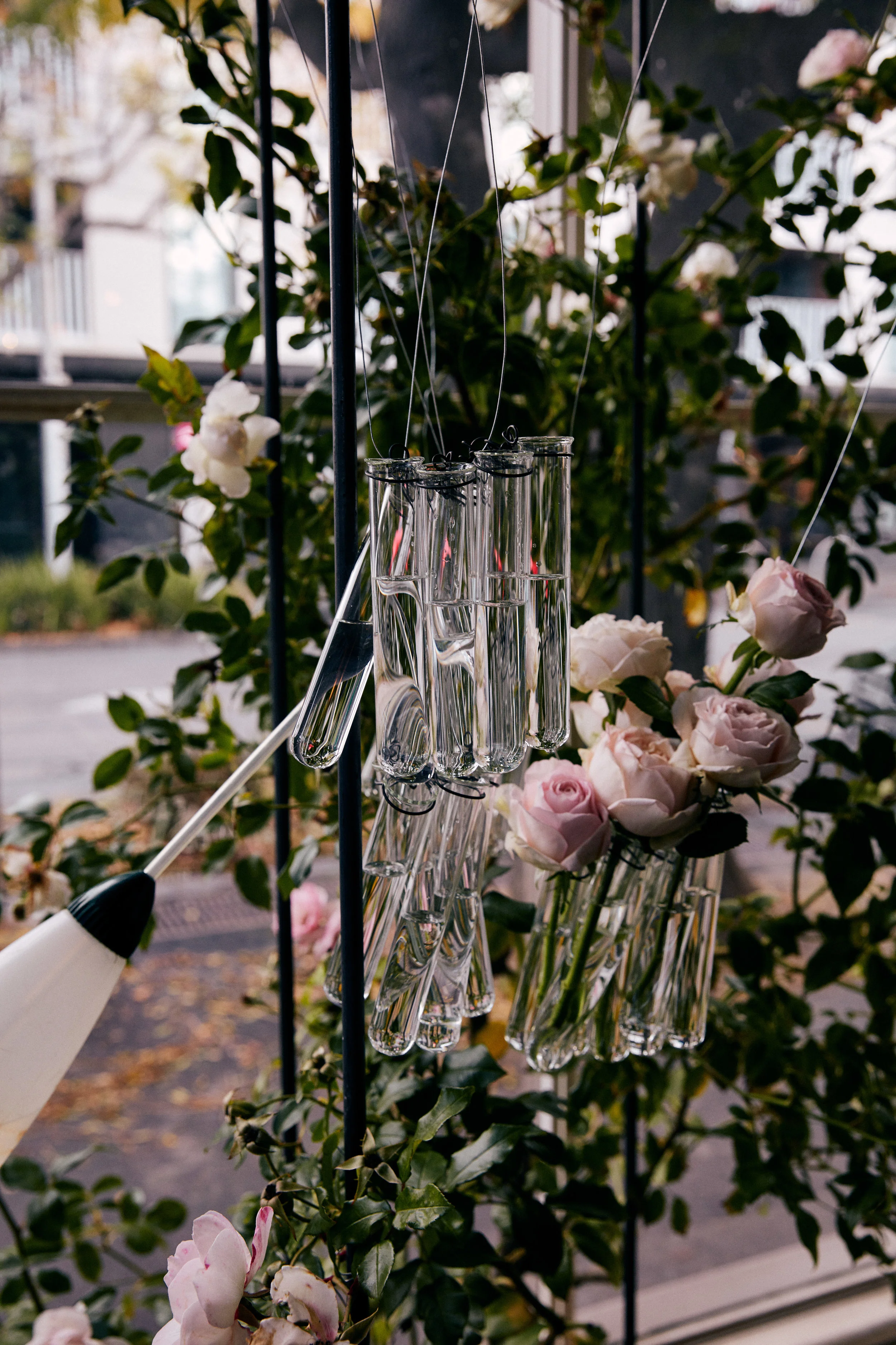 Le Labo Rose Festival — Stephanie Somebody