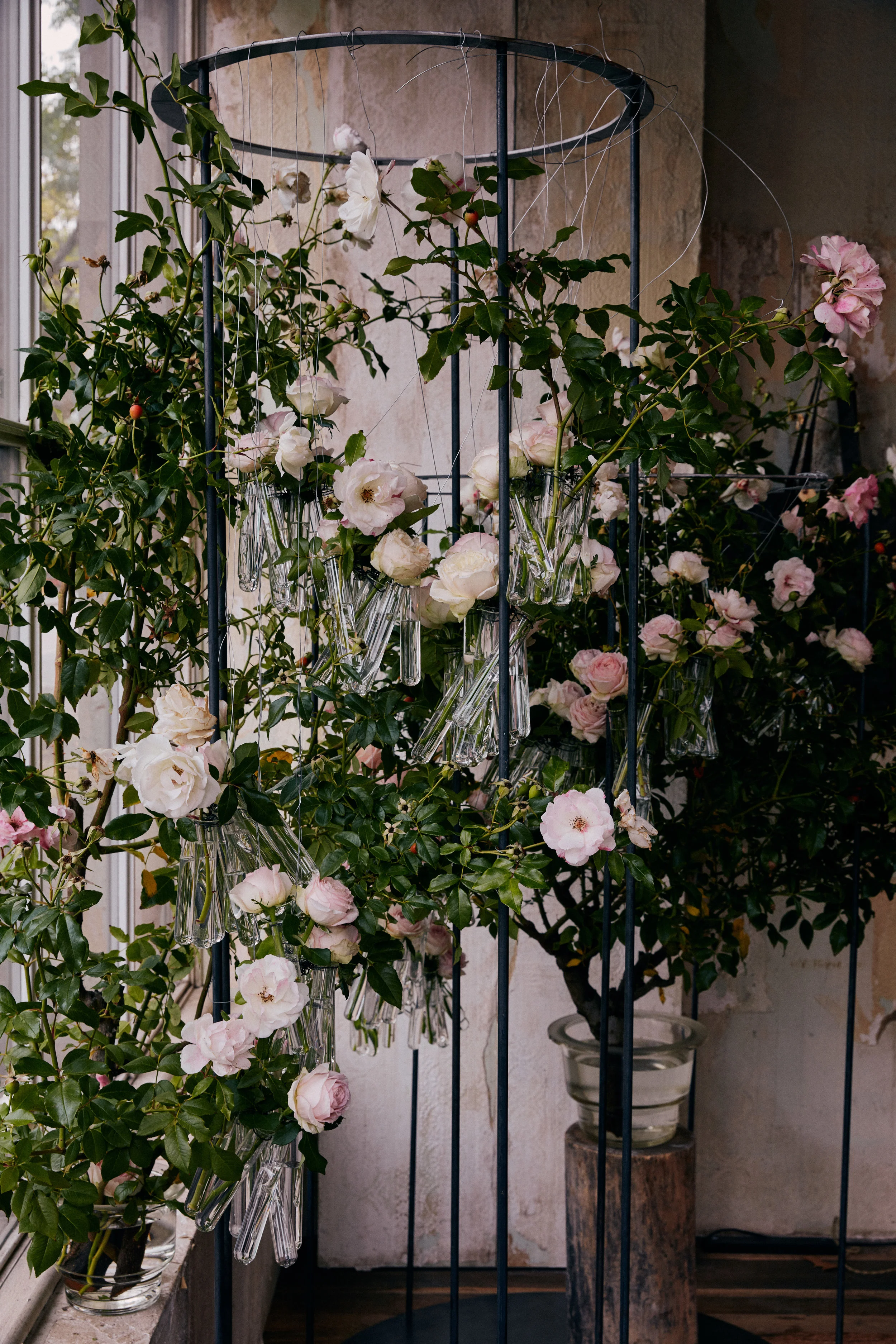 Le Labo Rose Festival — Stephanie Somebody