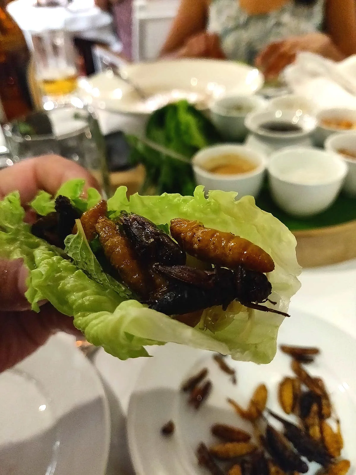 Eat bugs like a local in Luang Prabang, Laos - Her Favourite Food ...