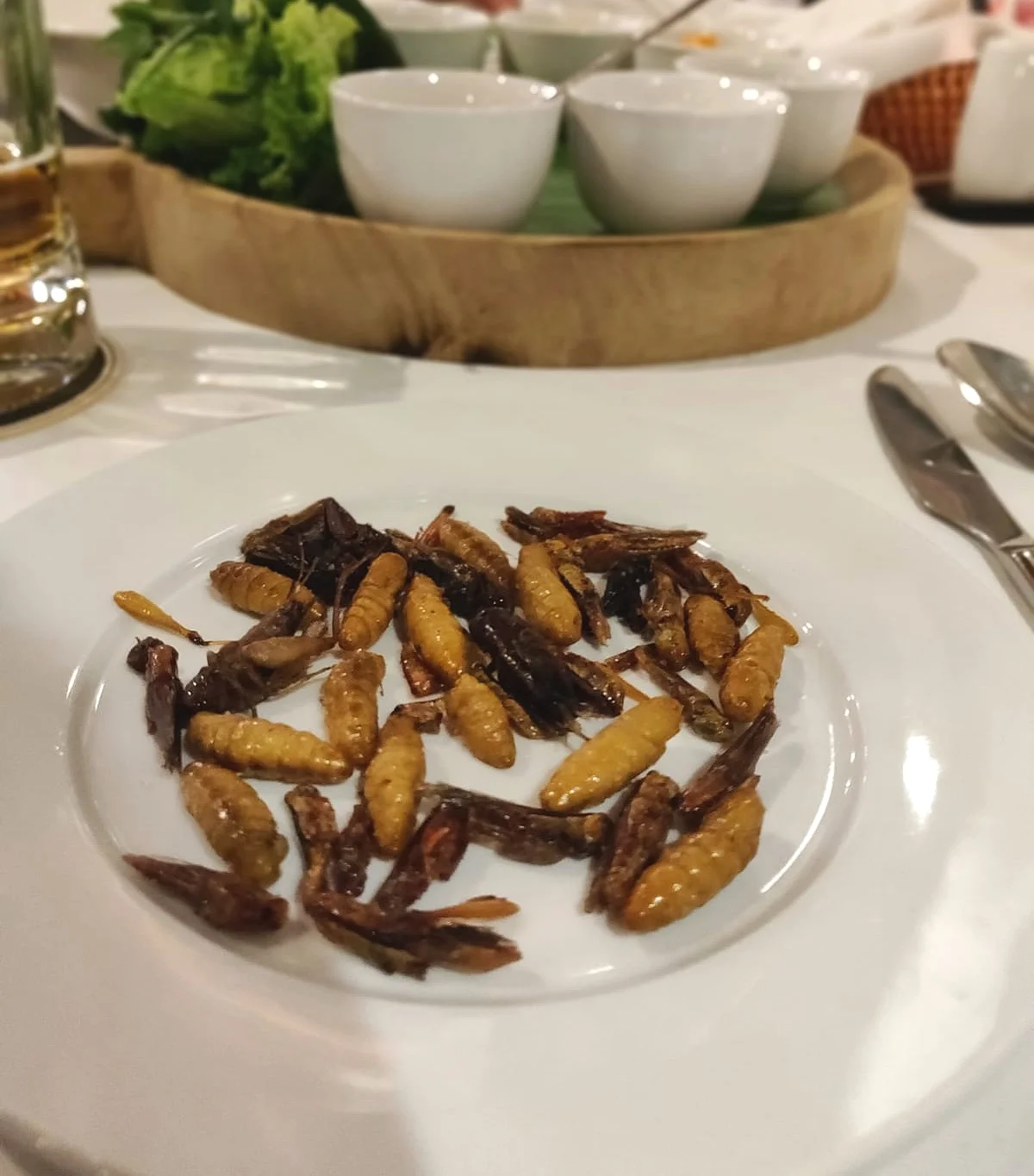 Eat bugs like a local in Luang Prabang, Laos - Her Favourite Food ...