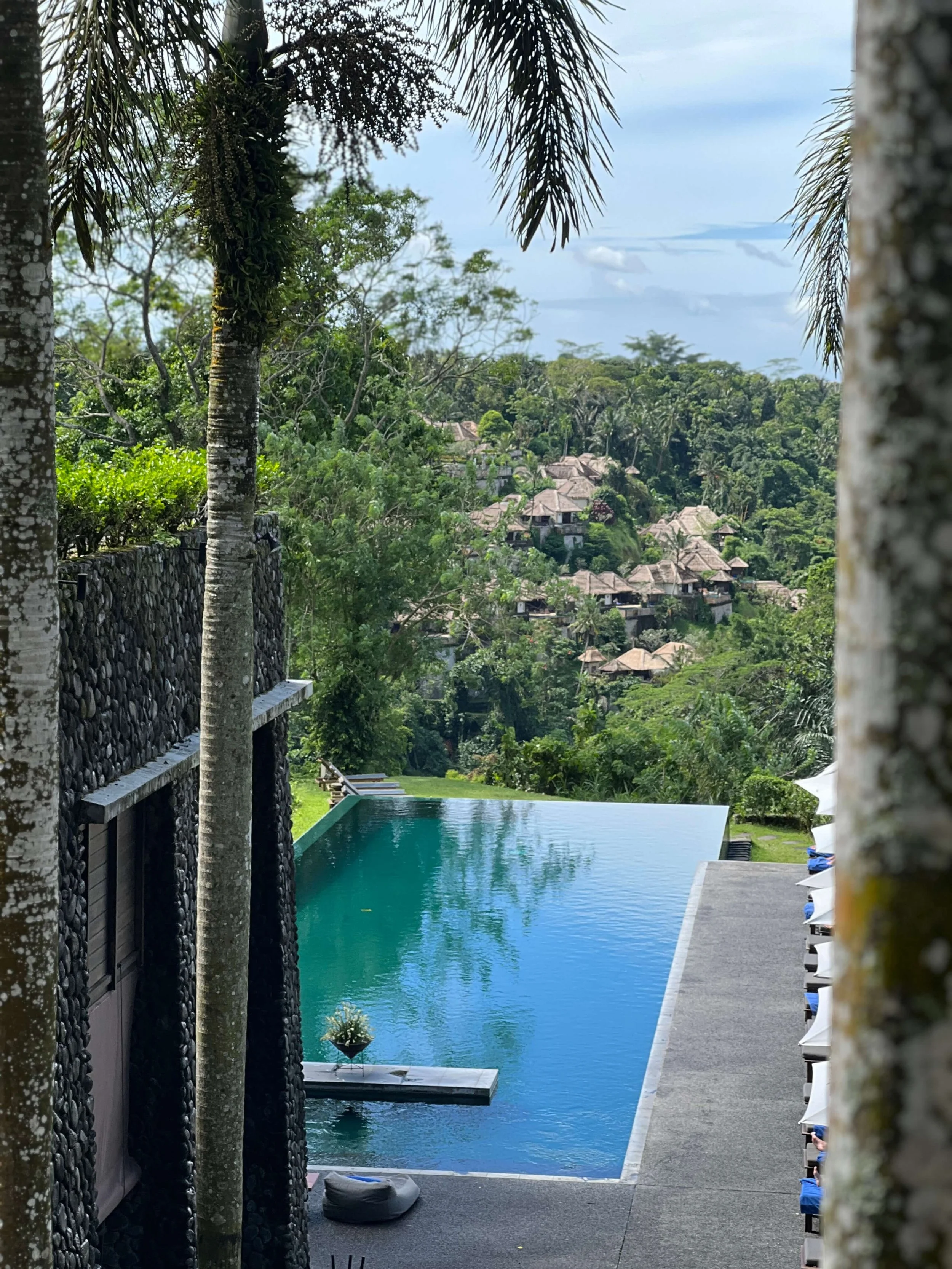 Alila Ubud, Bali - Luxury Jungle Retreat — Her Favourite Food & Travel