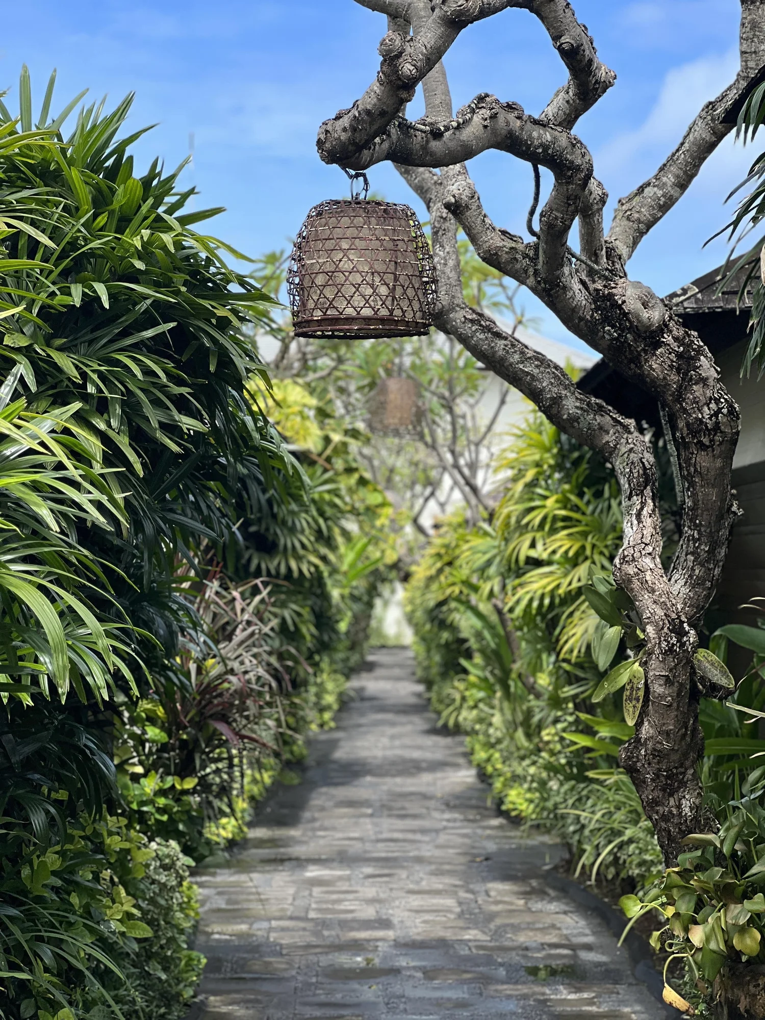 Avani Seminyak Resort Bali - Hotel Review — Her Favourite Food & Travel