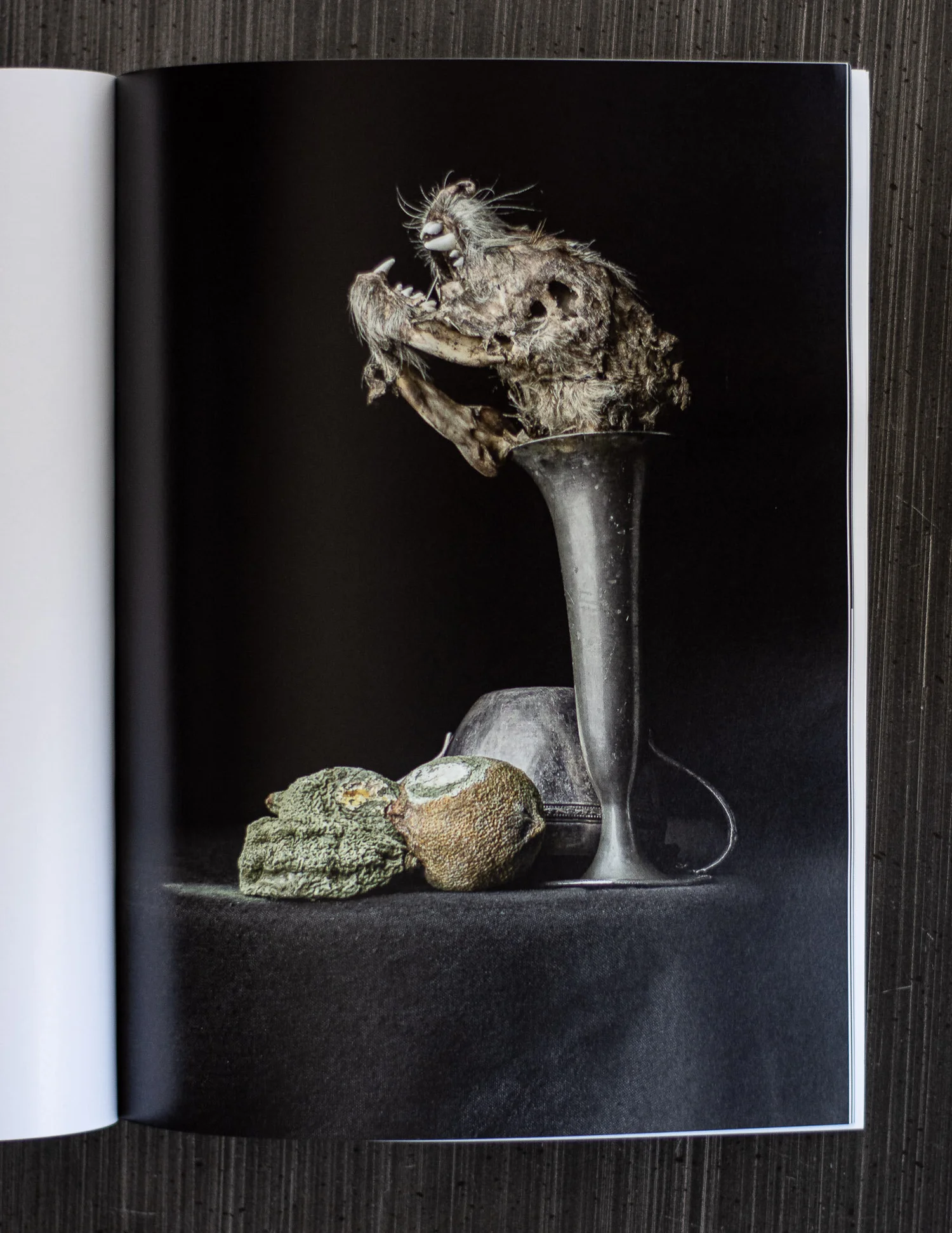 Neal Auch— Baudelaire's A Carcass: Anatomy of an Art Project