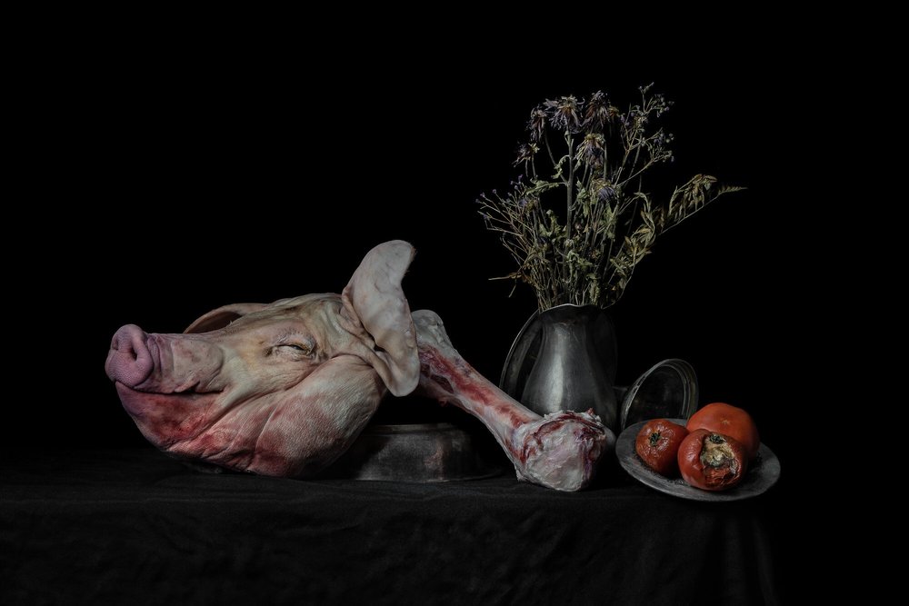 Dead Pig Heads