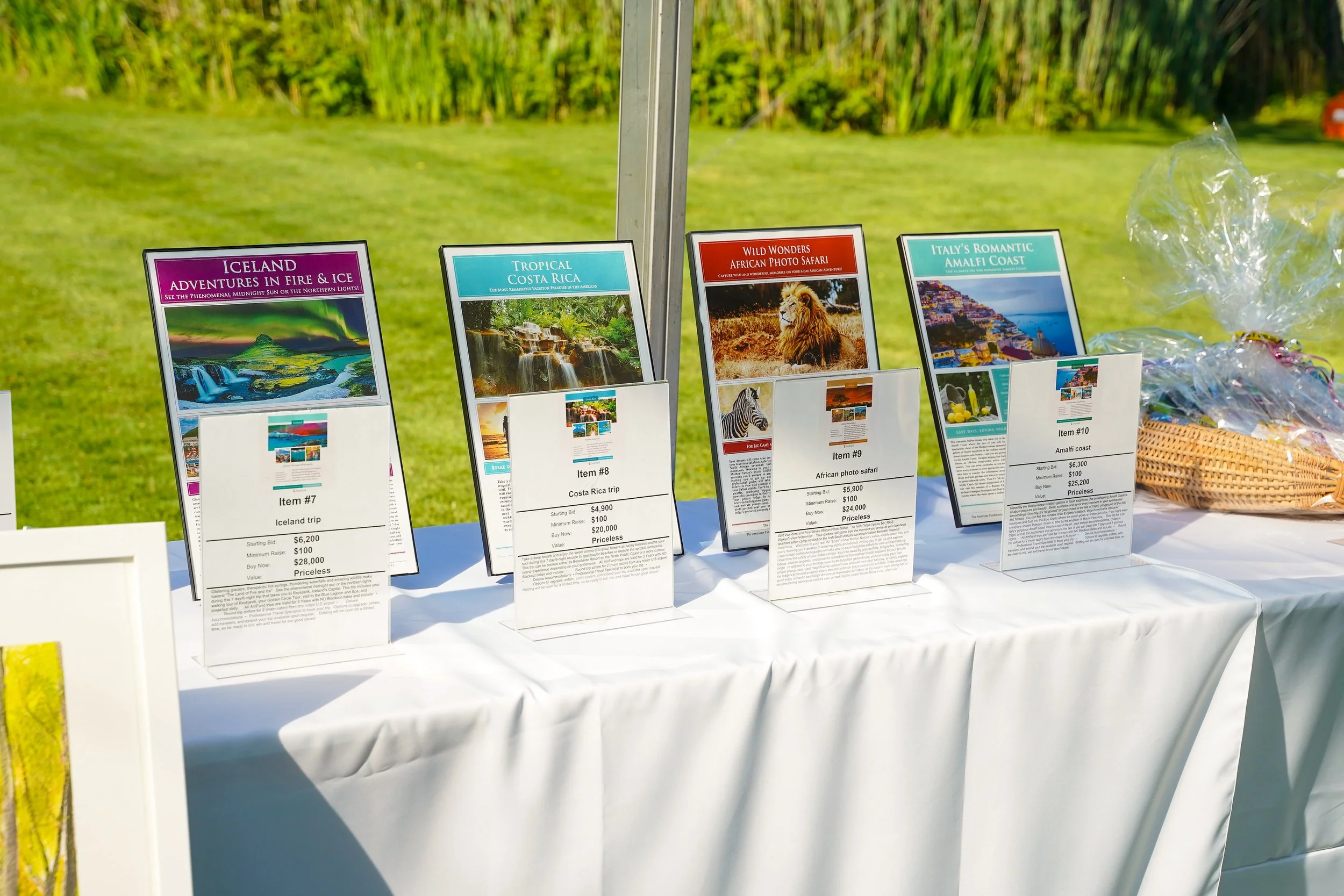 14th Annual Get Wild Benefit — InvitedNYC