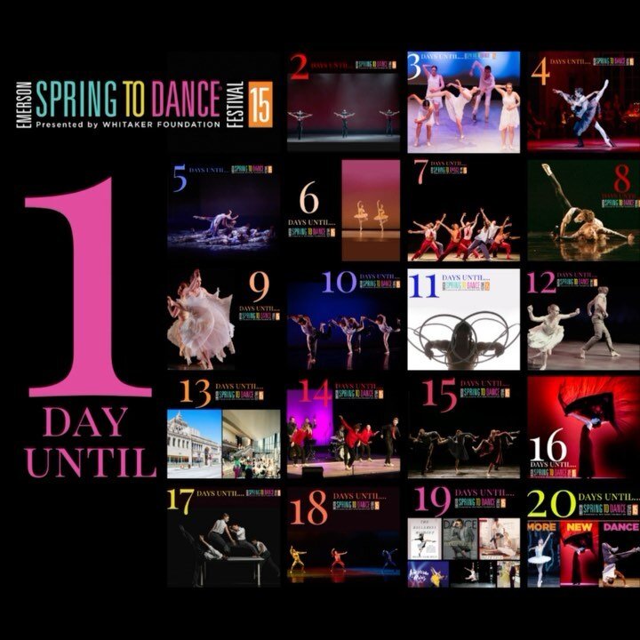 STAFF & EXECUTIVE LEADERSHIP — DANCEstl